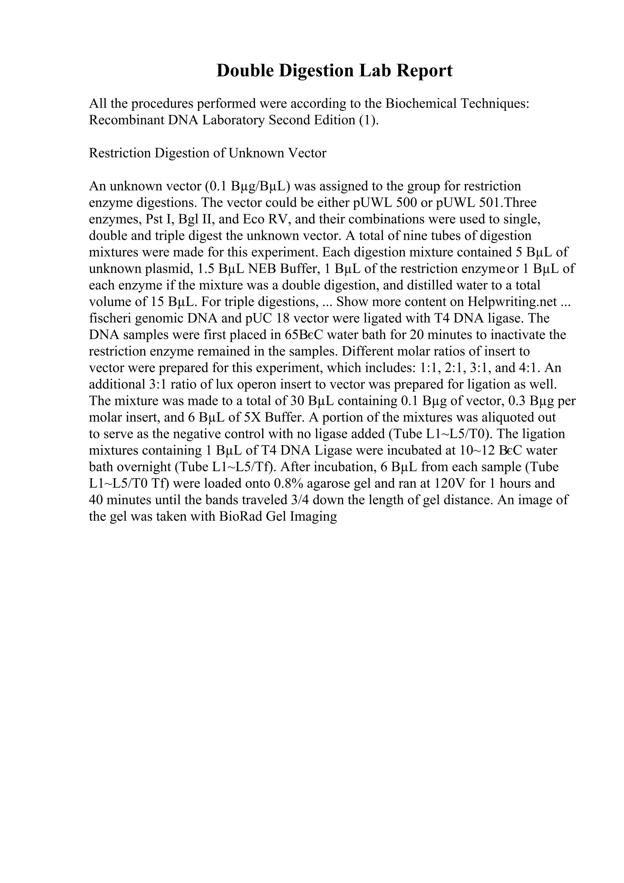 Examples Of Attention Grabbers For Essays | PDF
