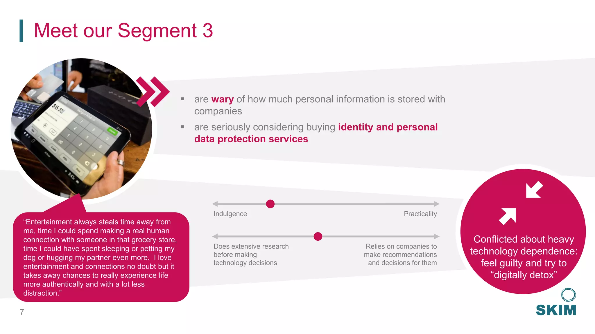 SKIM Segmentation - Examples of client deliverables | PDF