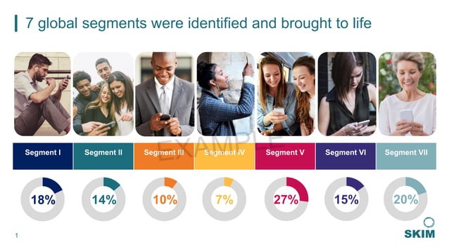 SKIM Segmentation - Examples of client deliverables | PPT