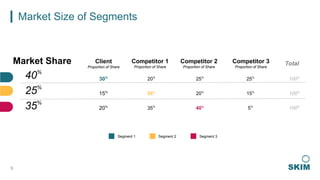 SKIM Segmentation - Examples of client deliverables | PDF