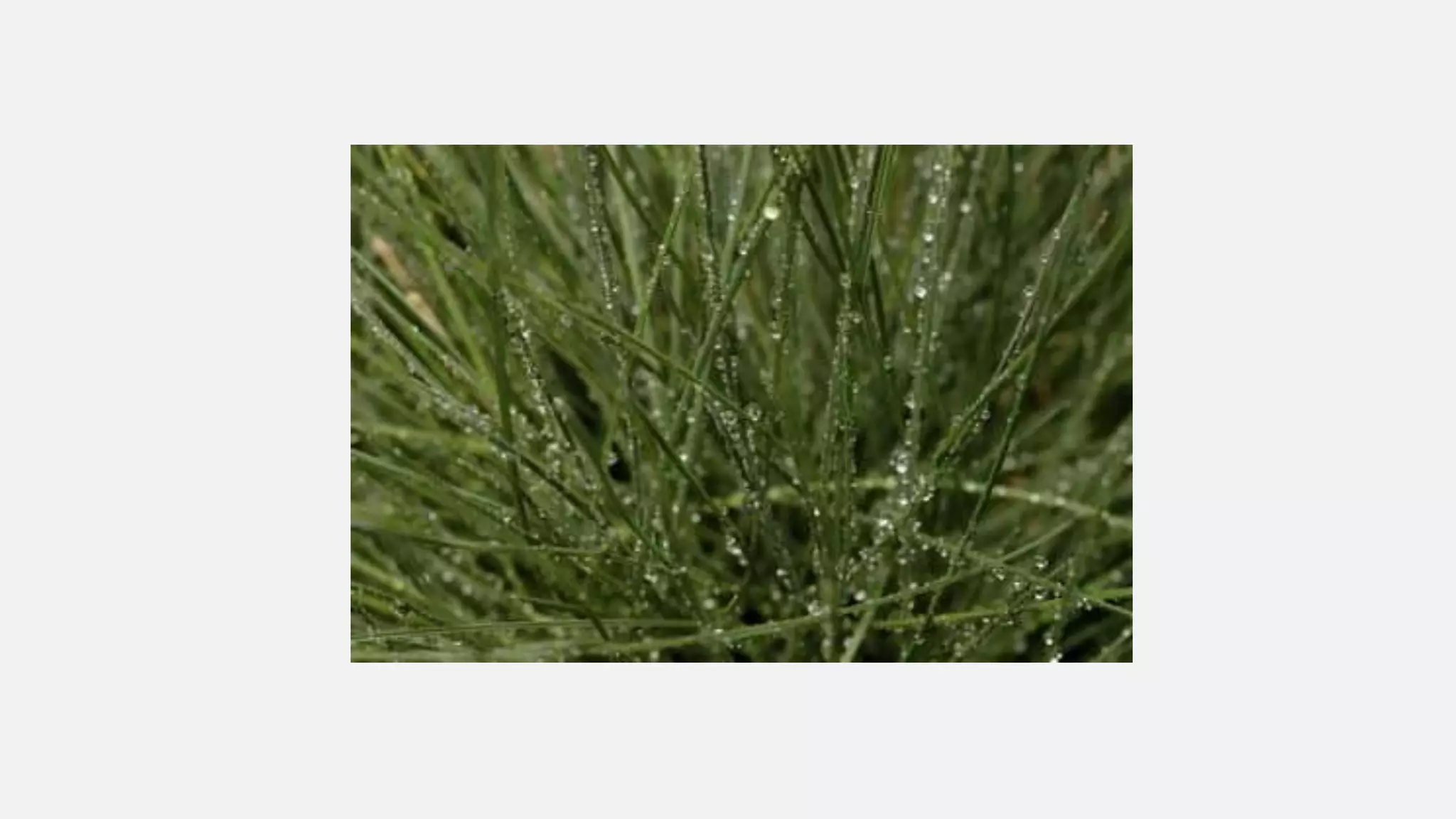 Examples of condensation | PPT