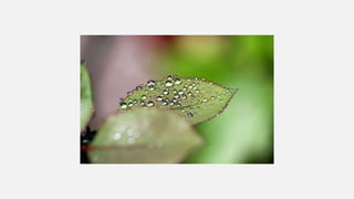 Example Of Condensation