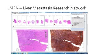 Pathomation PMA.UI framework examples | PPTX | Computer Software and ...