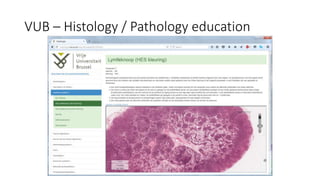 Pathomation PMA.UI framework examples | PPTX | Computer Software and ...