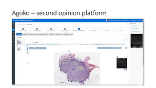 Pathomation PMA.UI framework examples | PPTX | Computer Software and ...
