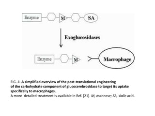 Examples of engineered proteins,.pptx