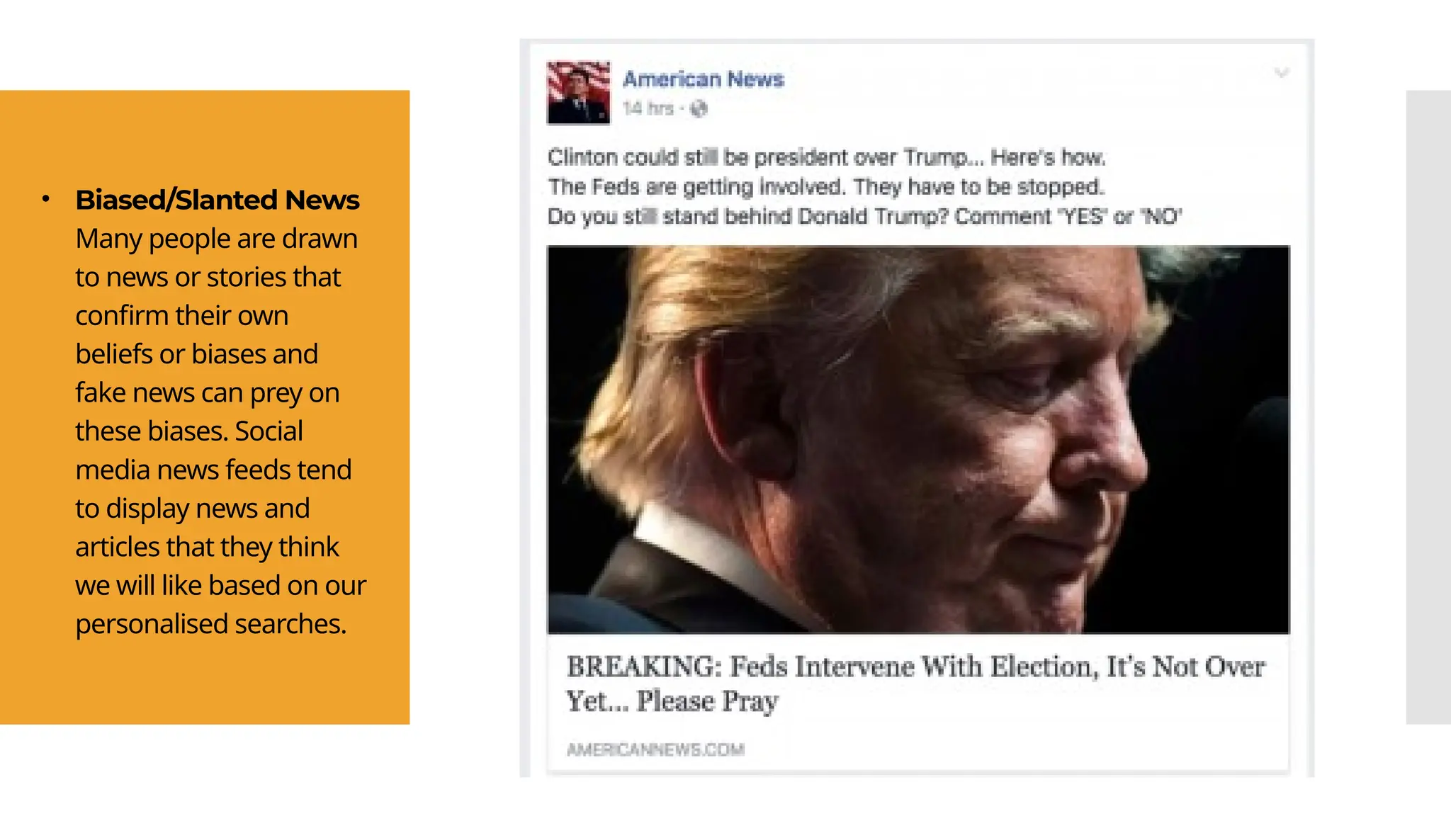 Examples of Fake News and Disinformation.pptx