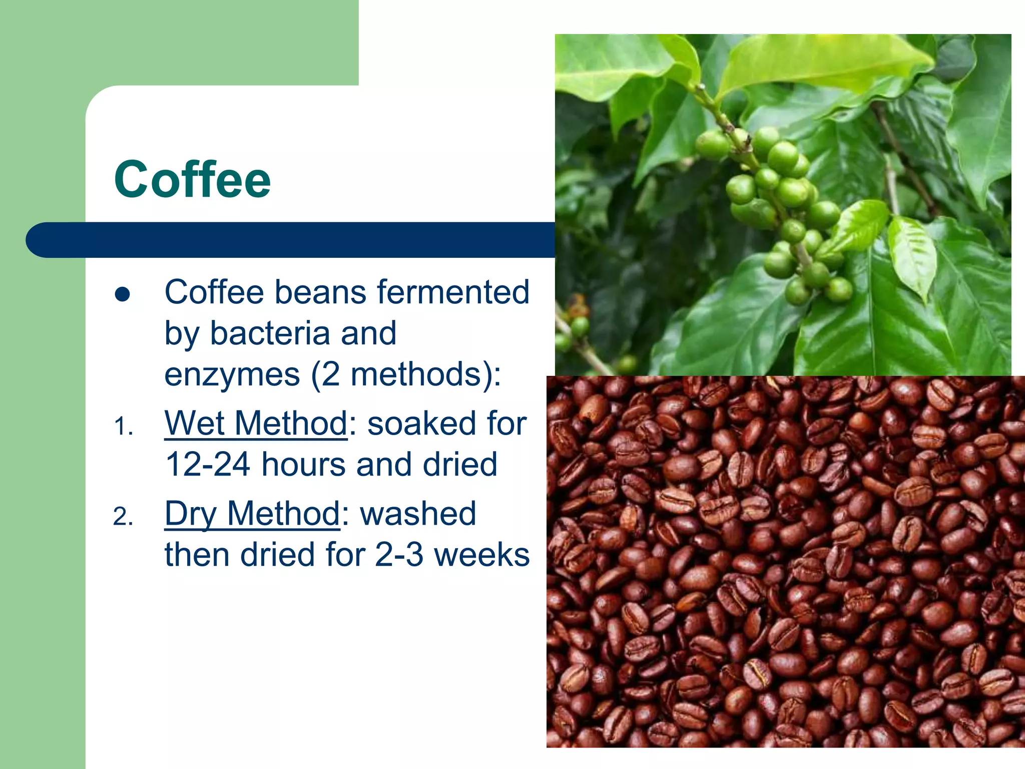 Examples of fermentation- Pharmaceutical Microbiology | PPT