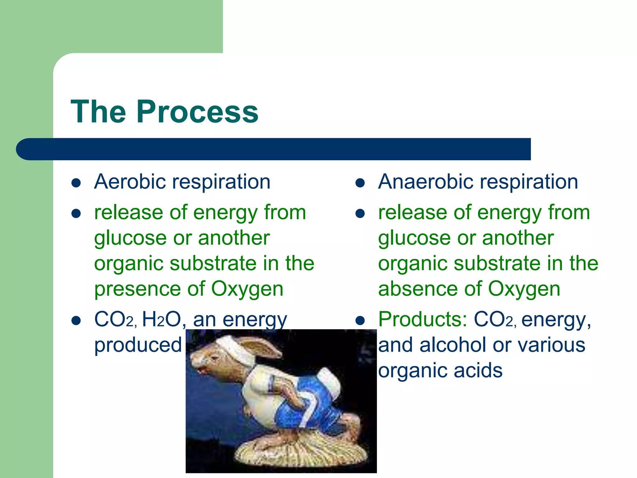 Examples of fermentation- Pharmaceutical Microbiology | PPT