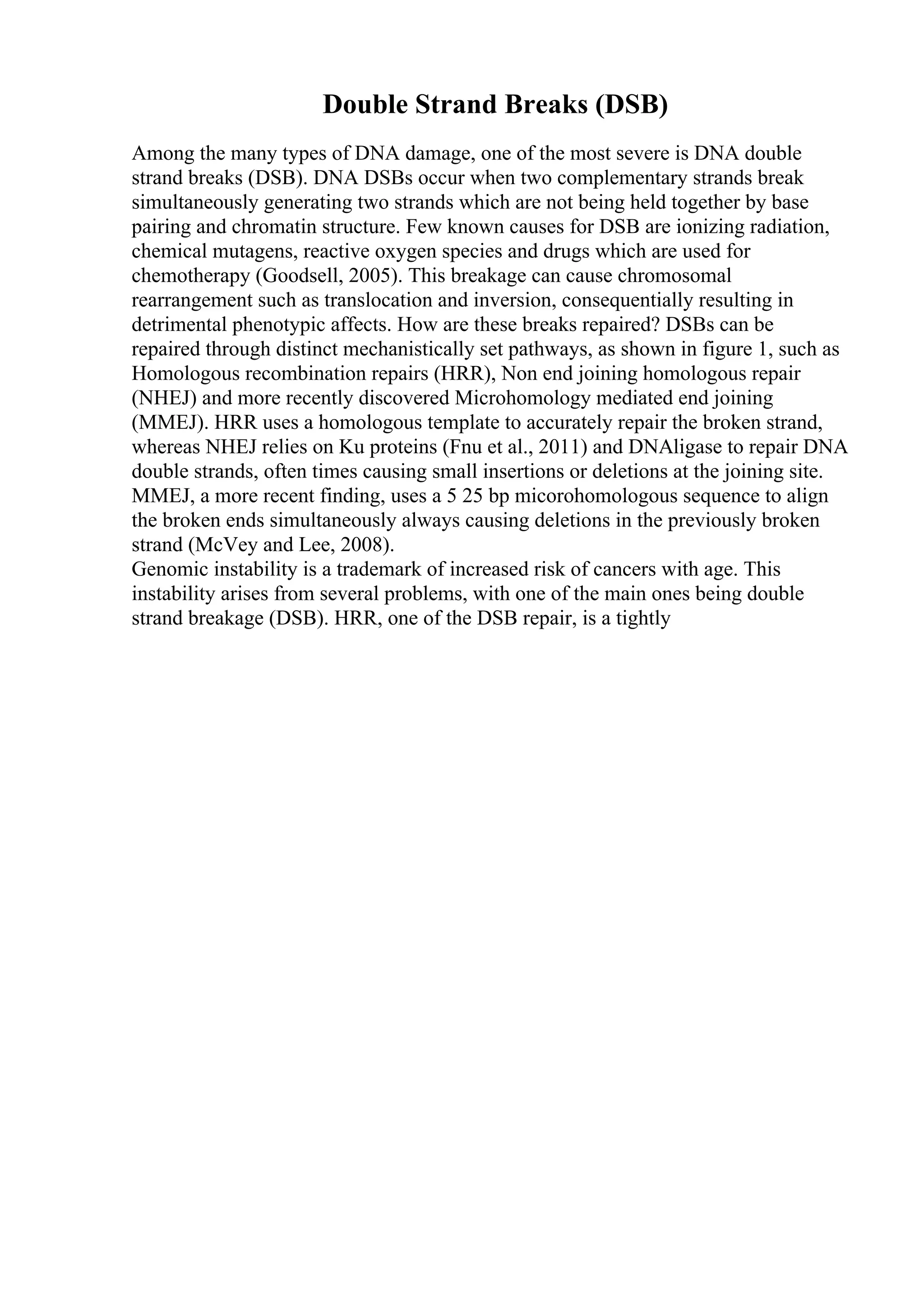 Examples Of Graduate School Admission Essays.pdf