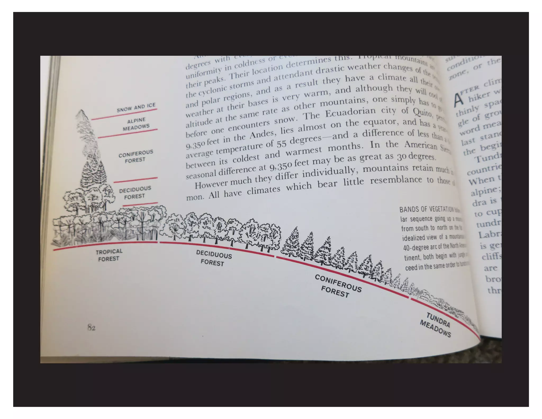 Examples of Infographics | PDF