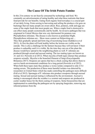 Examples Of Informal Essays | PDF