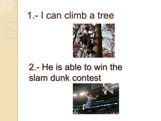 Examples of modal verbs | PPTX