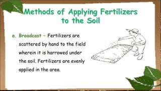 Examples of organic Fertilizer.pptx