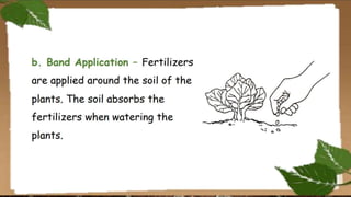 Examples of organic Fertilizer.pptx