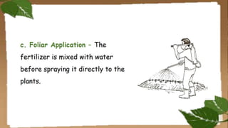 Examples of organic Fertilizer.pptx