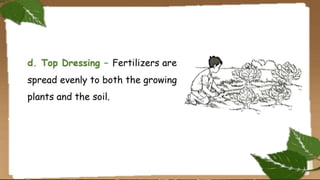 Examples of organic Fertilizer.pptx