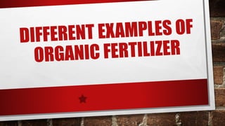 Examples of organic Fertilizer.pptx