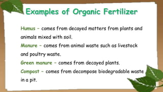 Examples of organic Fertilizer.pptx