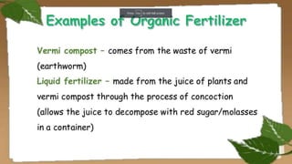 Examples of organic Fertilizer.pptx