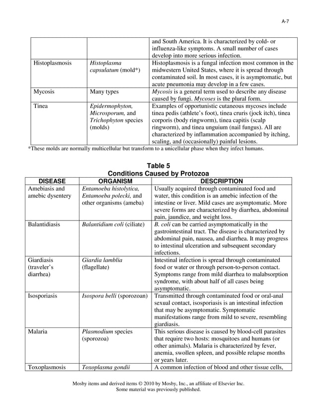 Examples of pathological (disease) conditions | PDF