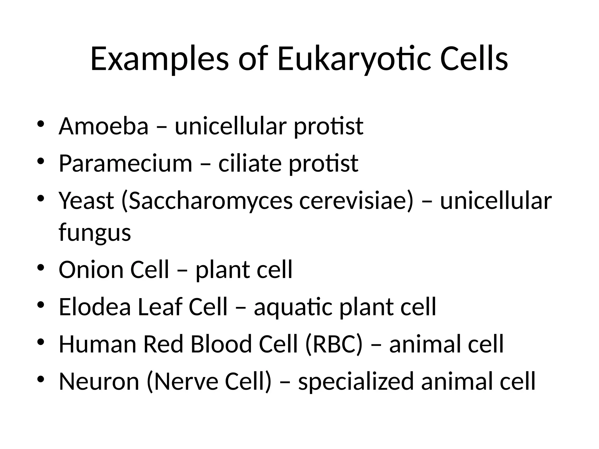 Examples_of_Prokaryotic_and_Eukaryotic_Cells.pptx