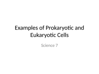 Examples_of_Prokaryotic_and_Eukaryotic_Cells.pptx