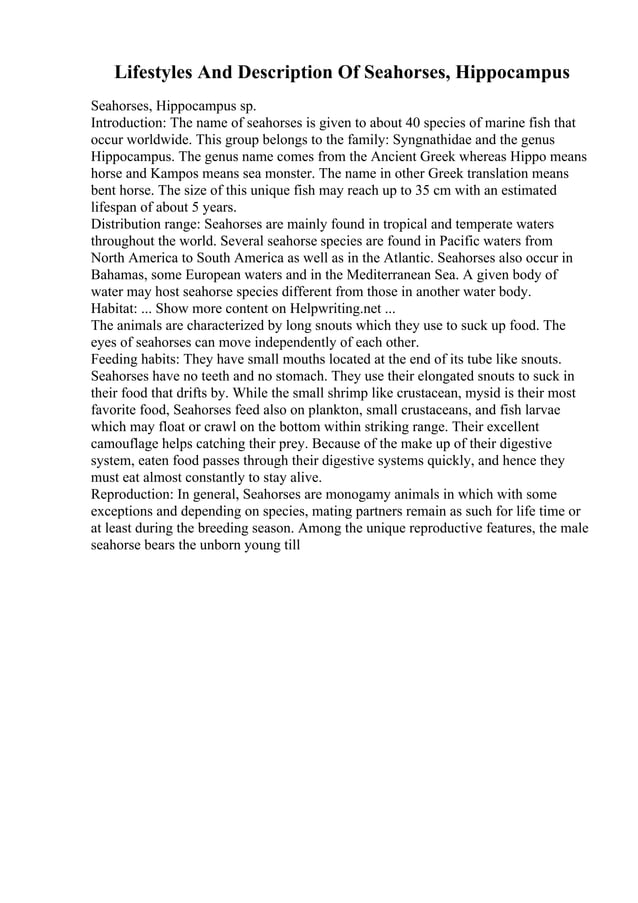 Examples Of Visual Analysis Essays | PDF