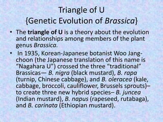 Examples of whole genome transfer | PDF | Genetics | Science