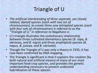 Examples of whole genome transfer | PDF | Genetics | Science