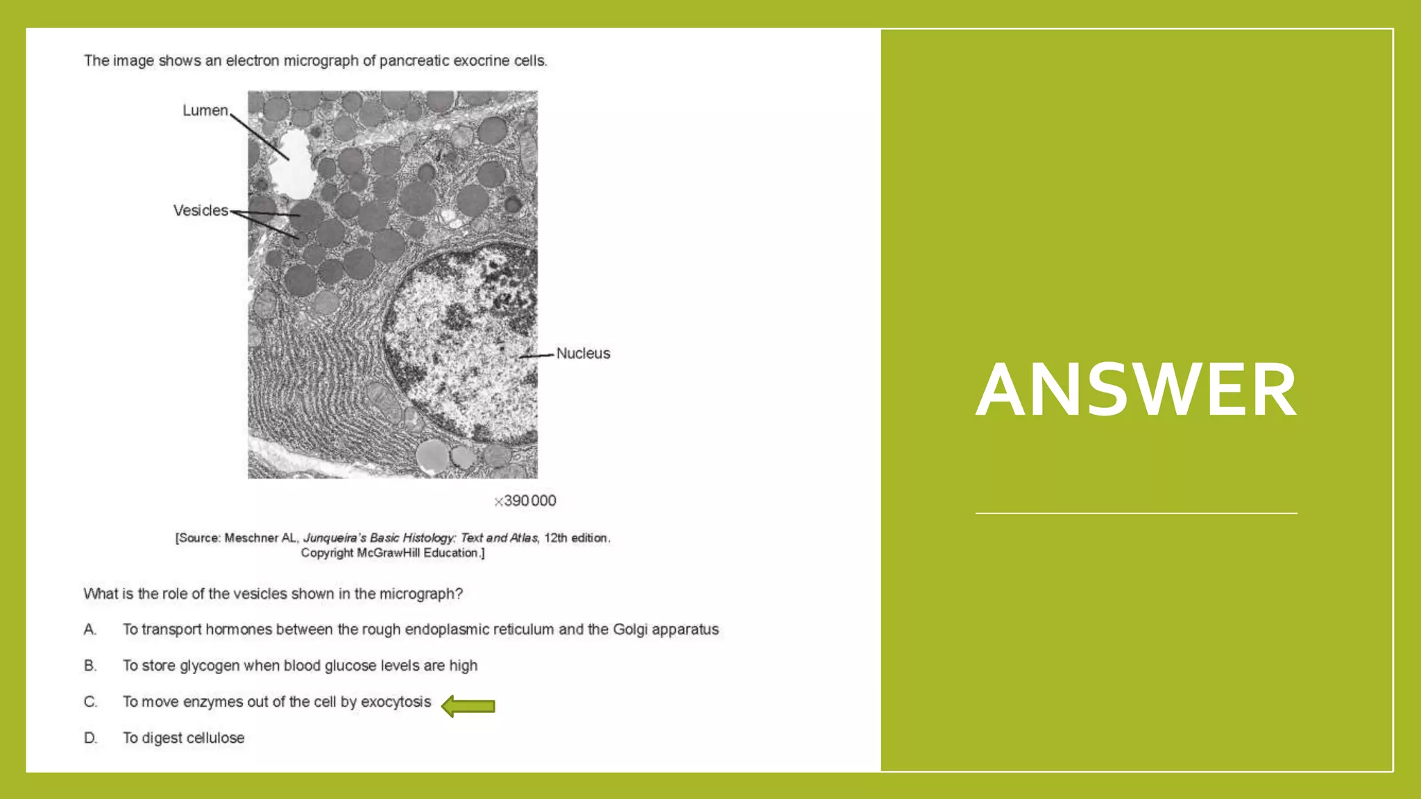 Exam preparation IB Biology Topics 1 to 3 | PPT