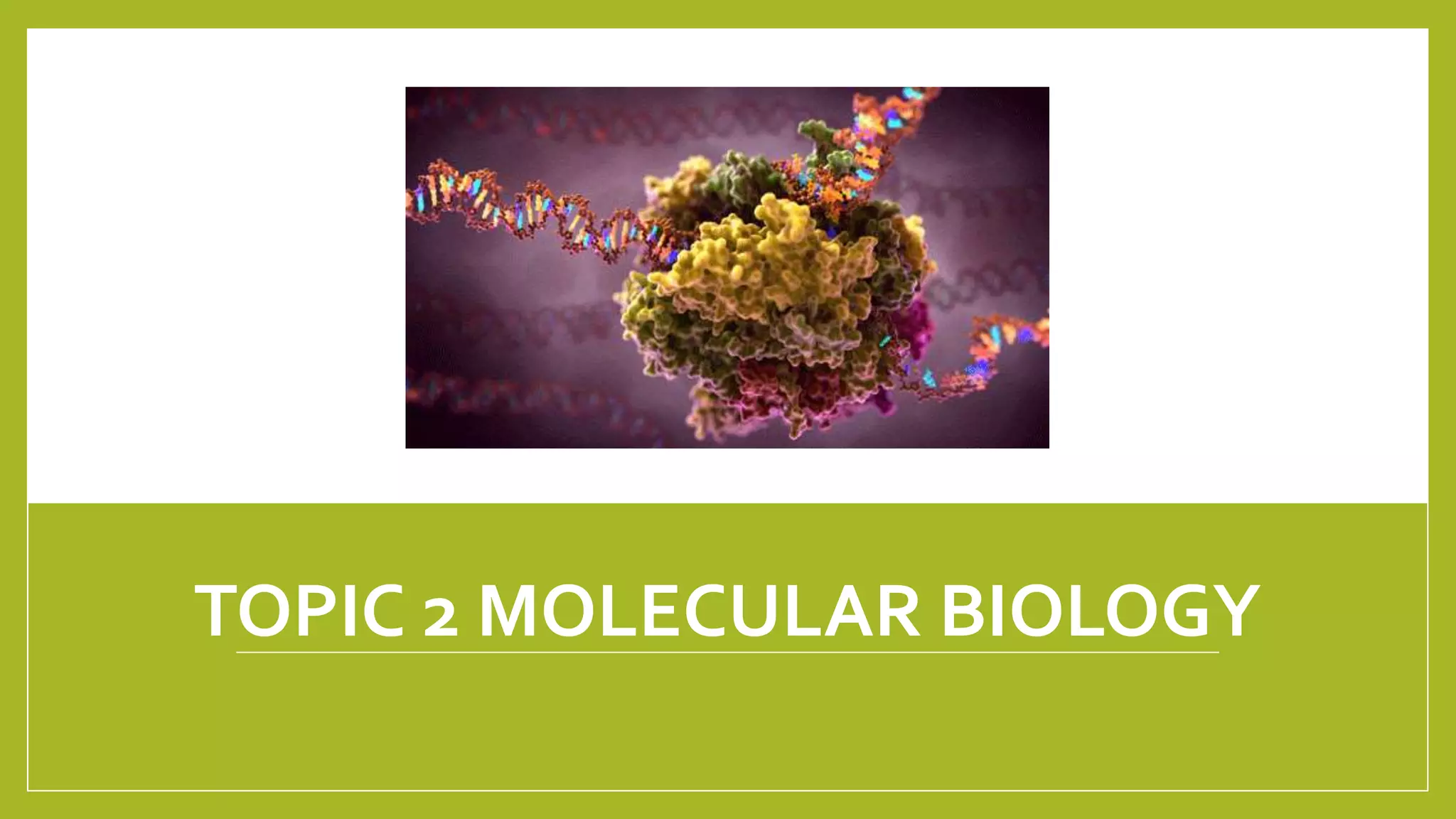 Exam preparation IB Biology Topics 1 to 3 | PPT