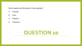 Exam preparation IB Biology Topics 1 to 3 | PPTX