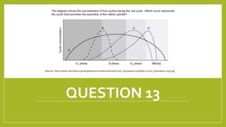 Exam preparation IB Biology Topics 1 to 3 | PPTX