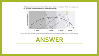 Exam preparation IB Biology Topics 1 to 3 | PPTX