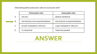 Exam preparation IB Biology Topics 1 to 3 | PPTX
