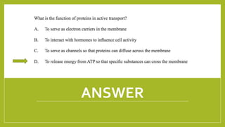 Exam preparation IB Biology Topics 1 to 3 | PPTX