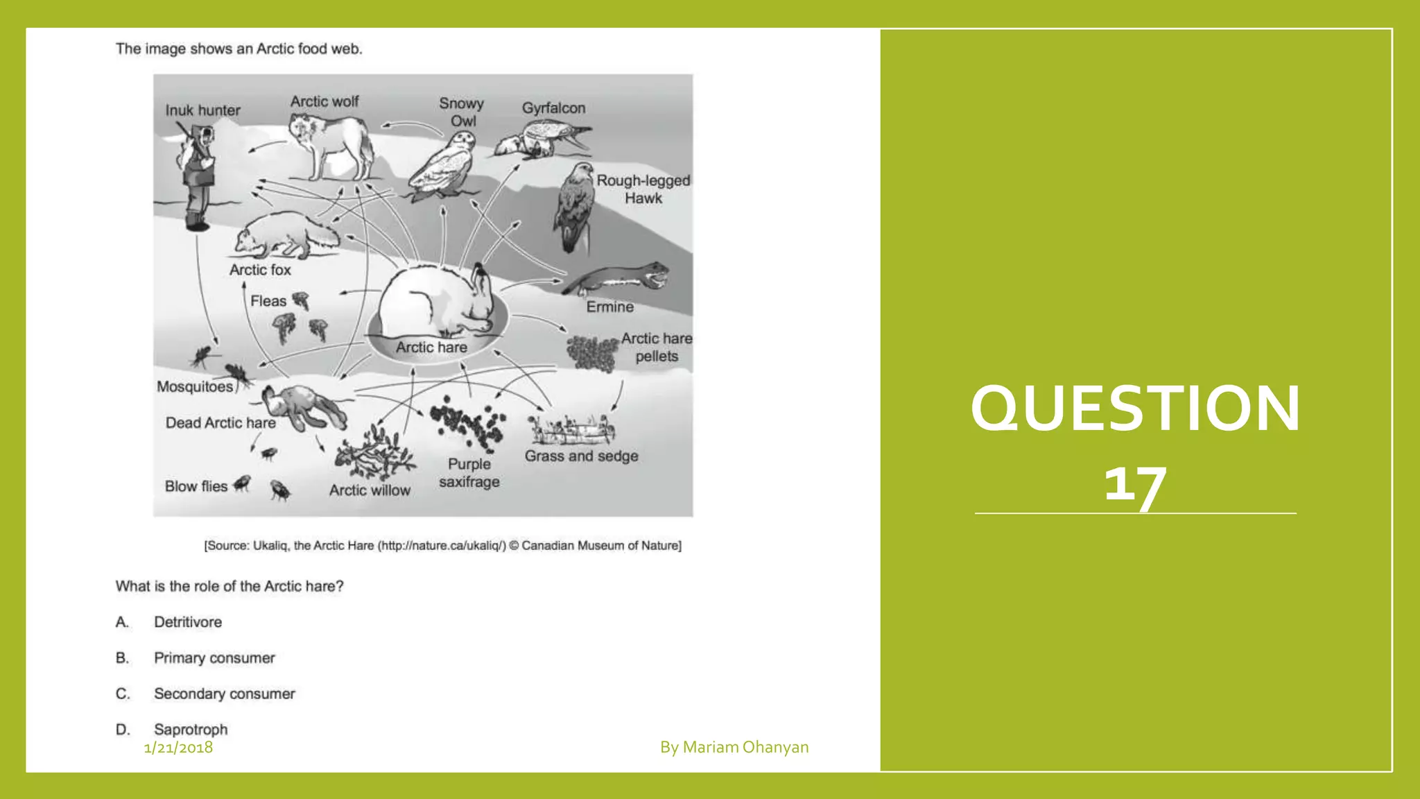 Exam preparation topics 4 to 6 | PPTX | Biological Sciences | Science
