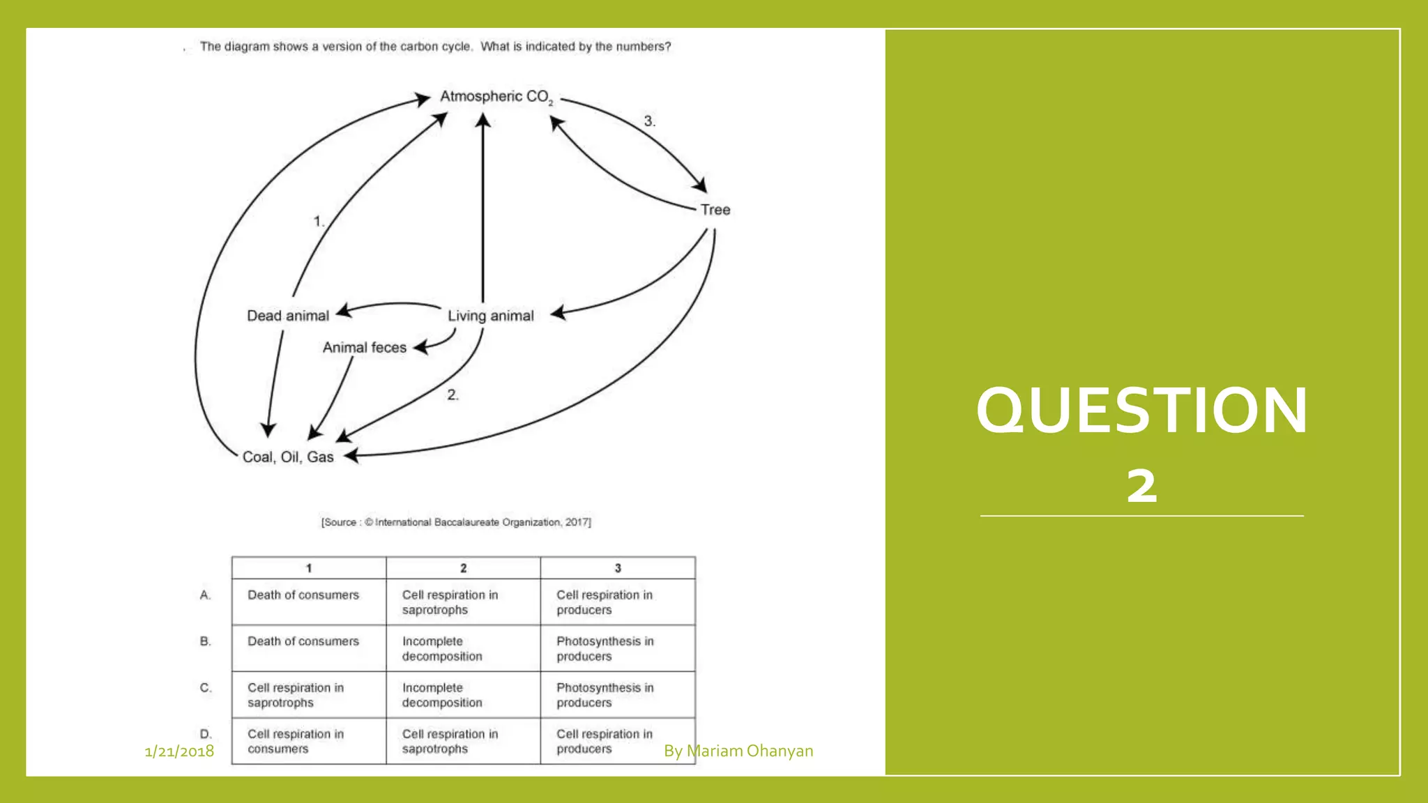 Exam preparation topics 4 to 6 | PPTX | Biological Sciences | Science