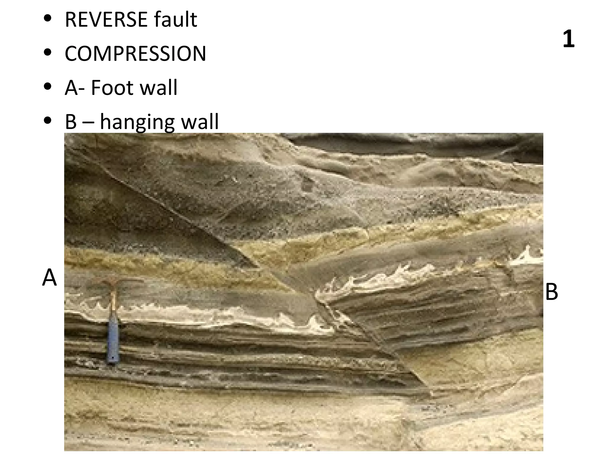 quick Exam foldsfaults | PPS