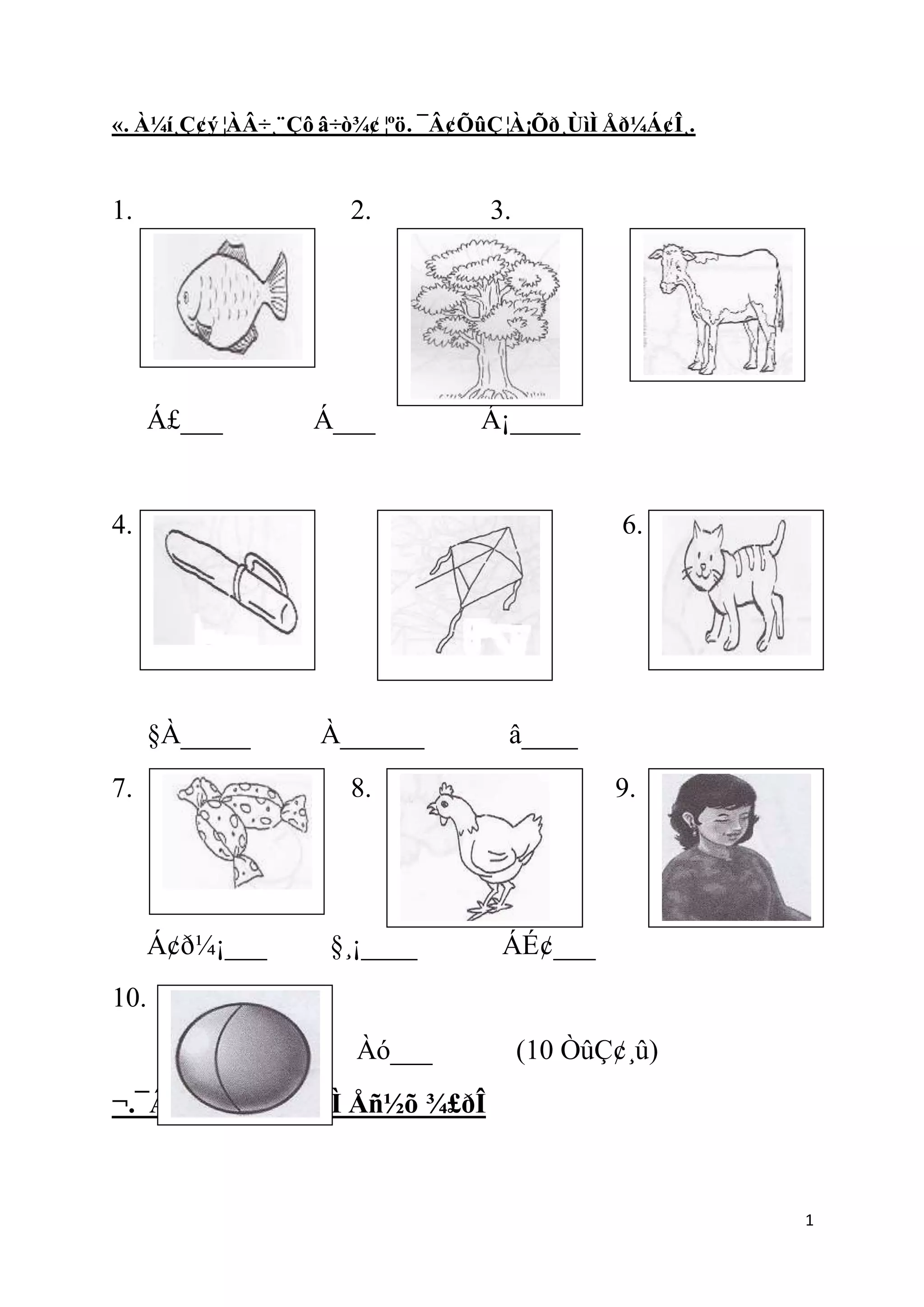 Exam science mid year 1 | PDF