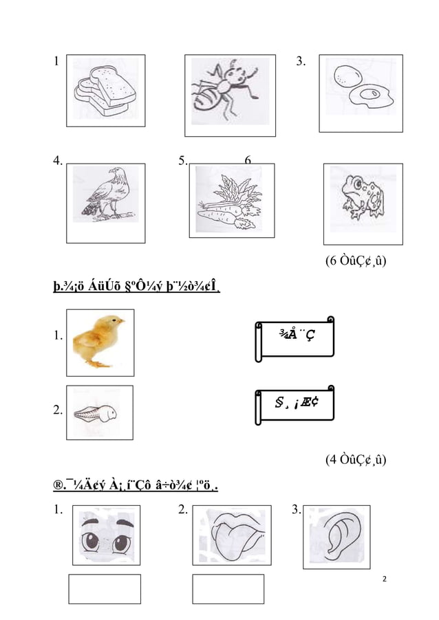 Exam science mid year 1 | DOCX