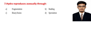 Ch-1 Reproduction in organisms -Biology NEET MCQ English Medium | PPTX