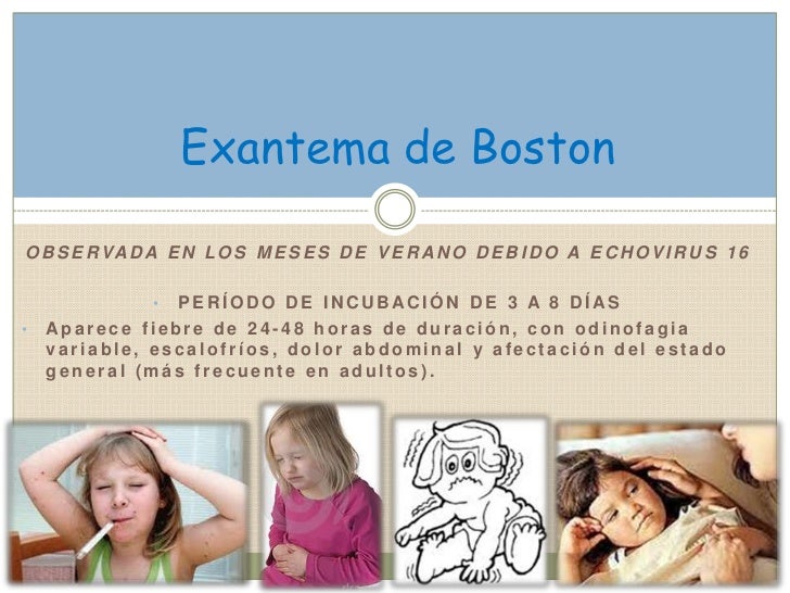 Exantema de boston, coxsackie, echo9 y 11, enterovirus