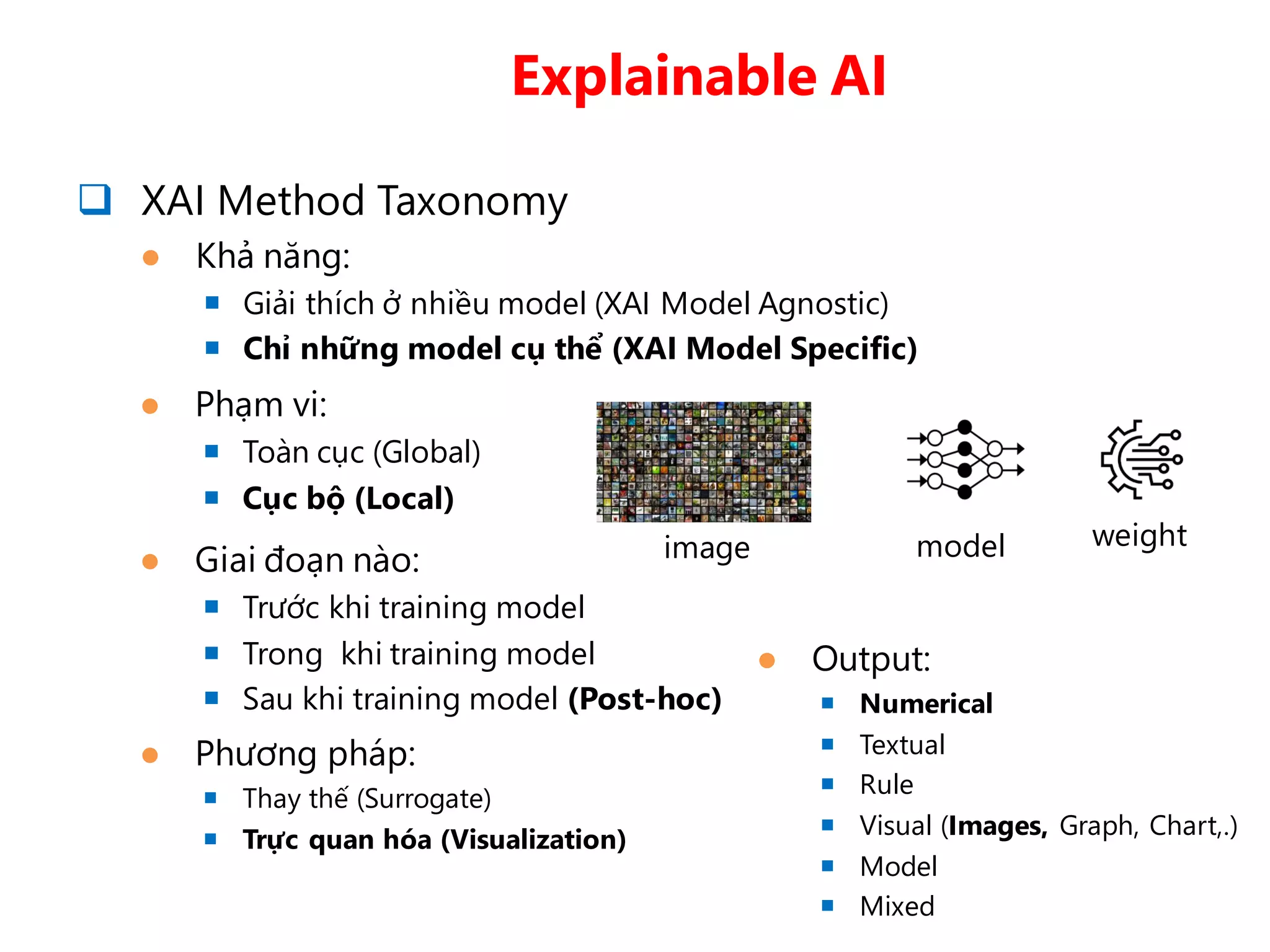 Exaplianable AI trong phân đoạn ảnh y khoa.pdf
