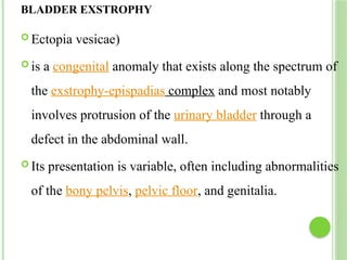 extrophy of bladder .pptx child health nursing | PPT