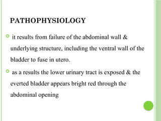 extrophy of bladder .pptx child health nursing | PPT