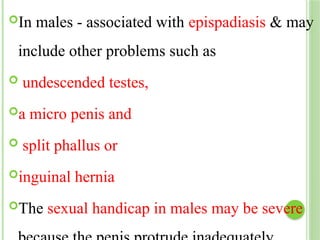 extrophy of bladder .pptx child health nursing | PPTX