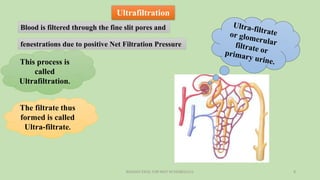 EXC 03 physiology ofURINE FORMATION .pdf