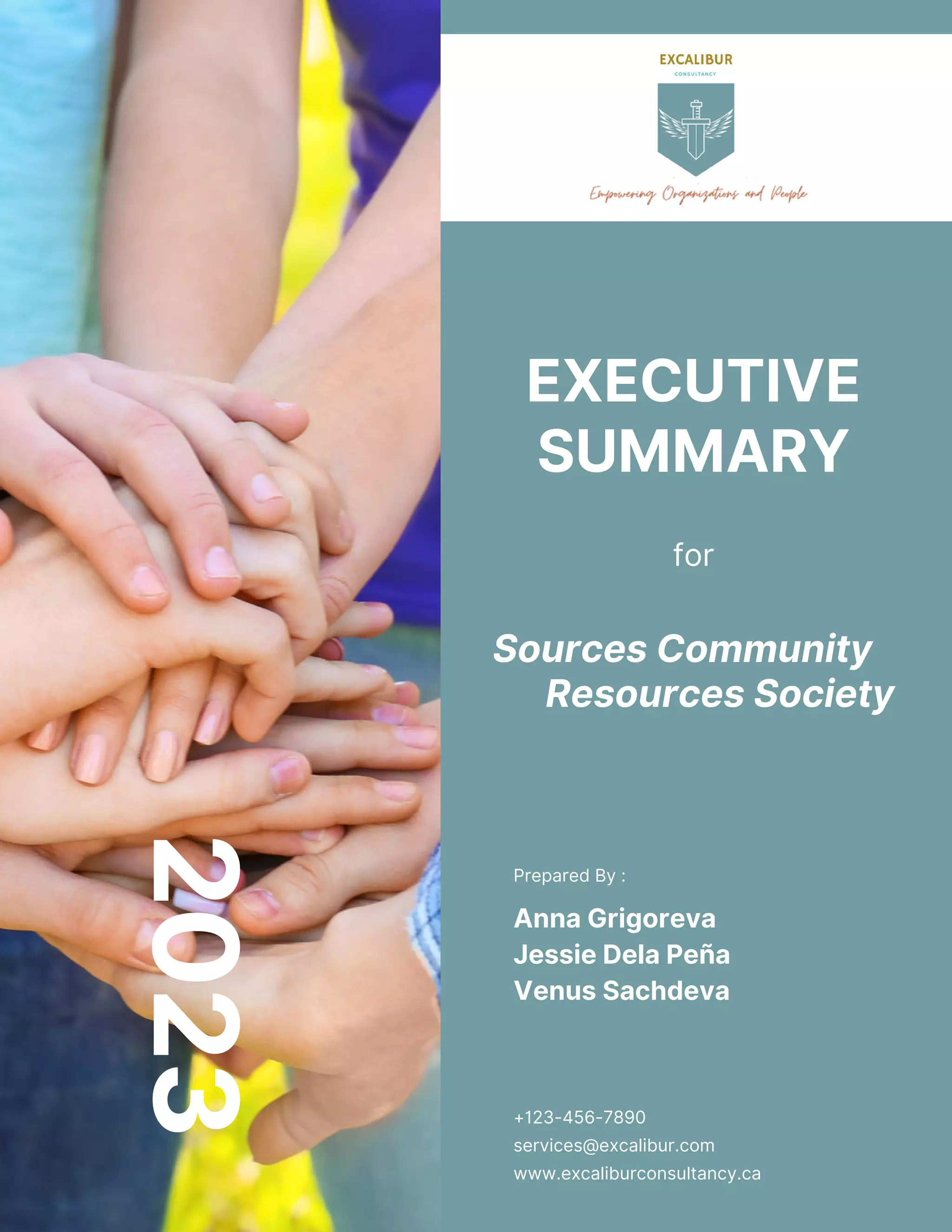 Excalibur's Executive Summary for Sources.pdf